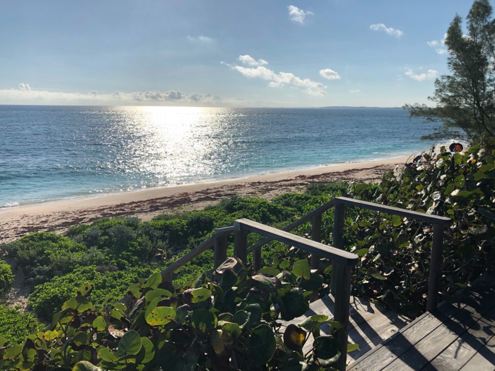 Bahamas School Upgrades IT for Remote Learning - ThomDigital Group